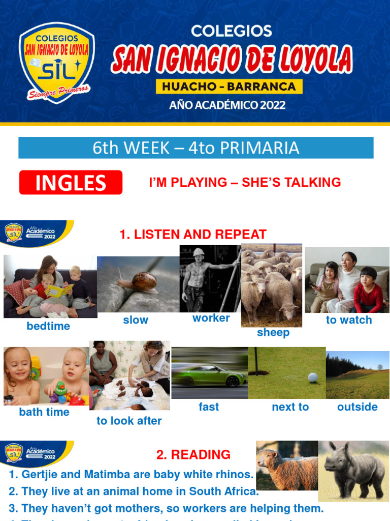 6th WEEK - 4to PRIM. | PDF