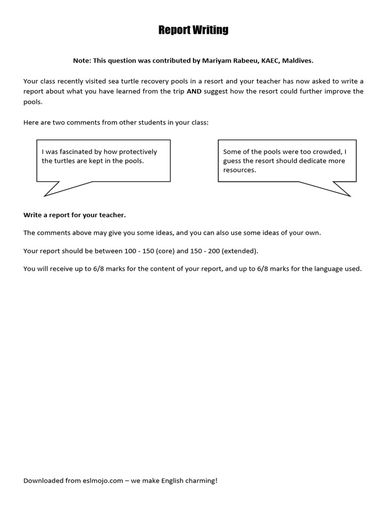 Sea Turtle Report Writing | PDF