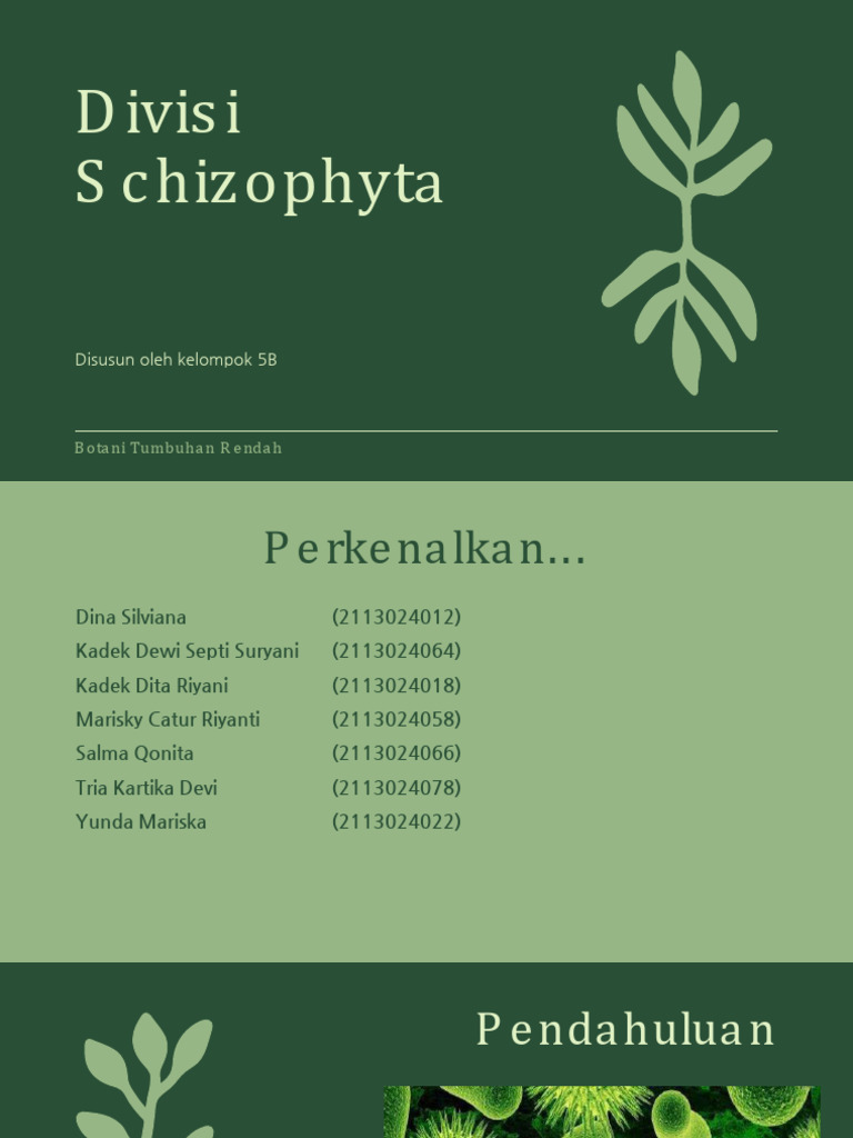 BTR Kelompok 5B - Schizophyta | PDF