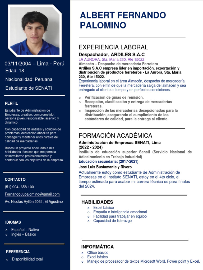 Ejemplo CV | PDF | Informática | Business
