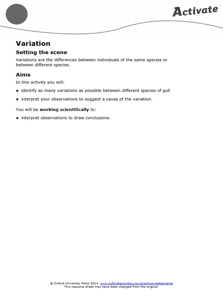 Gull Species Variation Activity Sheet | PDF