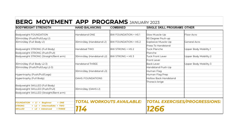 Berg Movement Programs | PDF