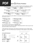 Cladogram Worksheet Practice KEY | PDF | Organisms | Phylogenetics