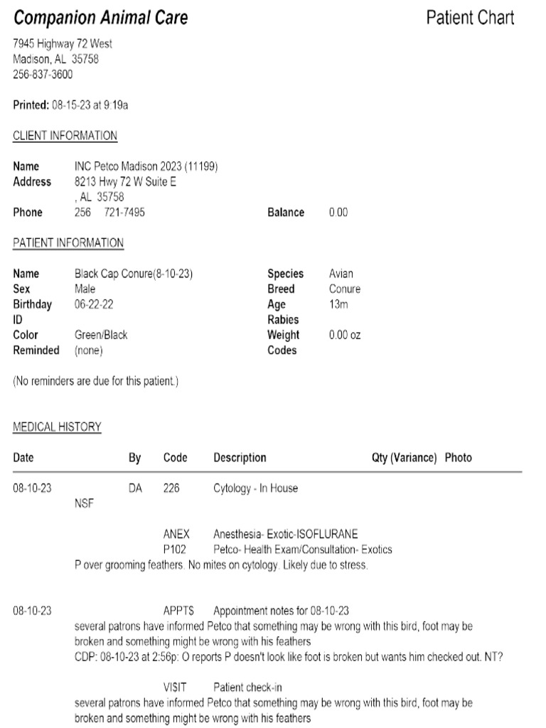 Little Buddy Petco Vet Visit Report | PDF