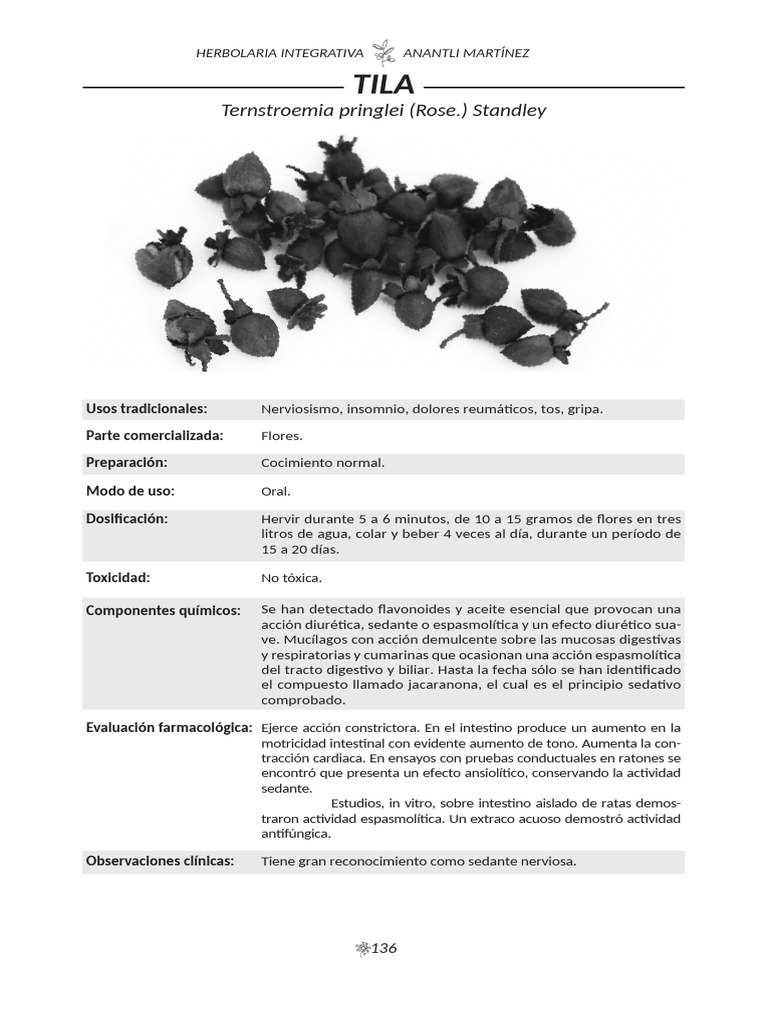 Ternstroemia pringlei: Usos y Beneficios | PDF