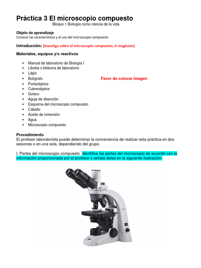 Practica 3 El Microscopio Compuesto | PDF