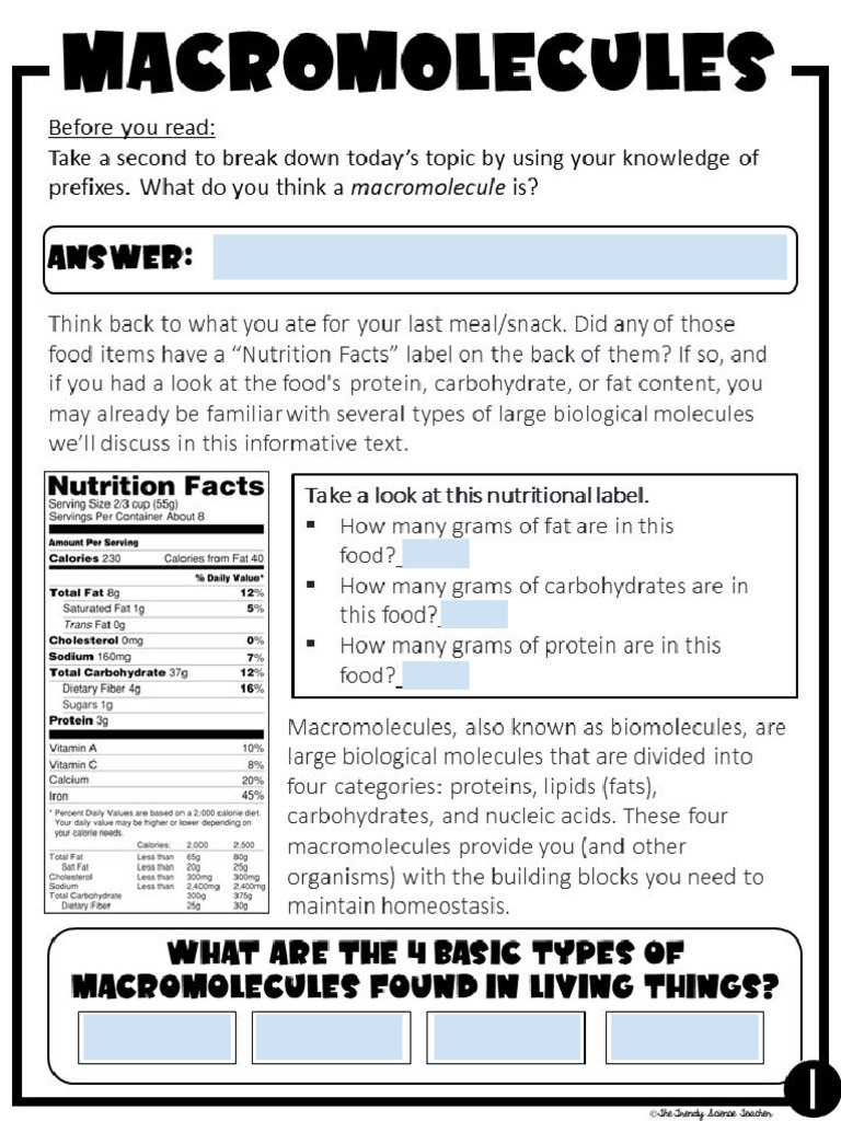 Copia de Macromolecules Close Reading Assignment PDF | PDF