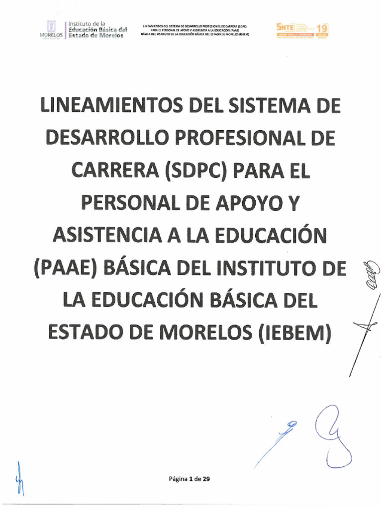 Lineamientos Del SDPC 2010 | PDF