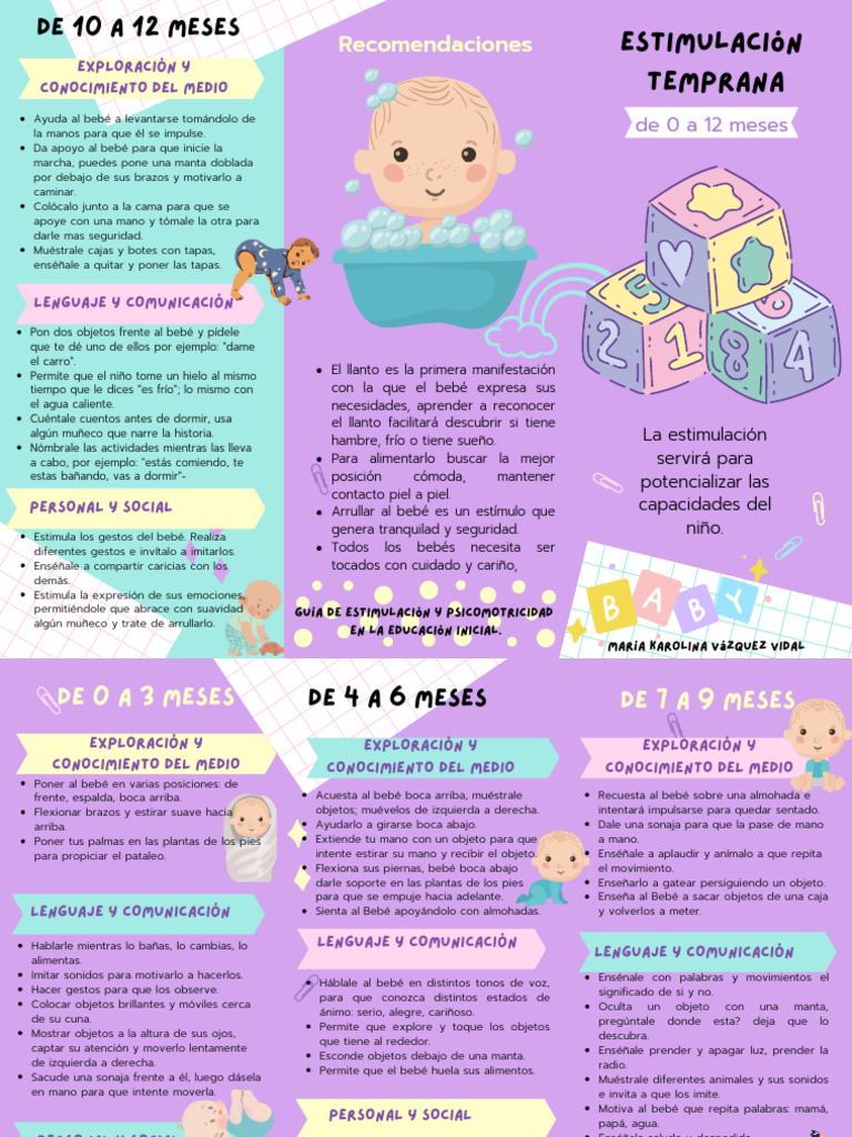 Folleto Estimulacion Temprana de 0 A 12 Meses | PDF