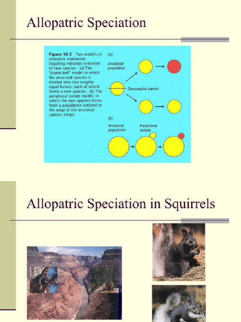Modes of Speciation | PDF