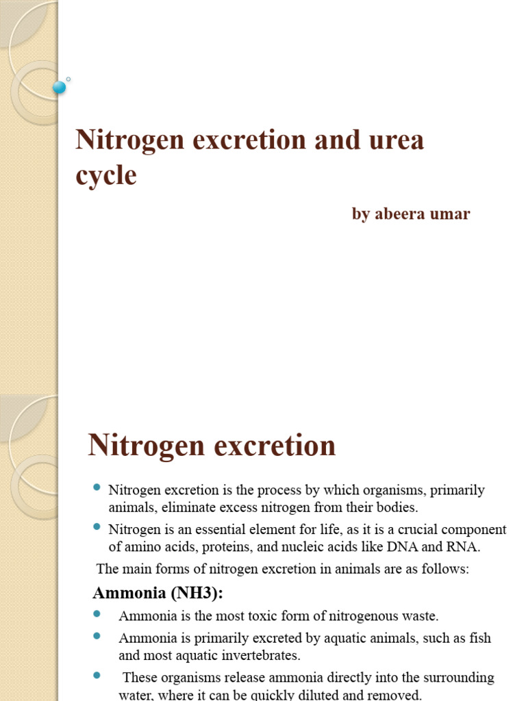Nitrogen Excretion and Urea Cycle | PDF