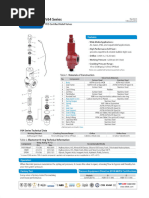 DK Lok v33 Series Inline Check Valve | PDF | Valve | Water