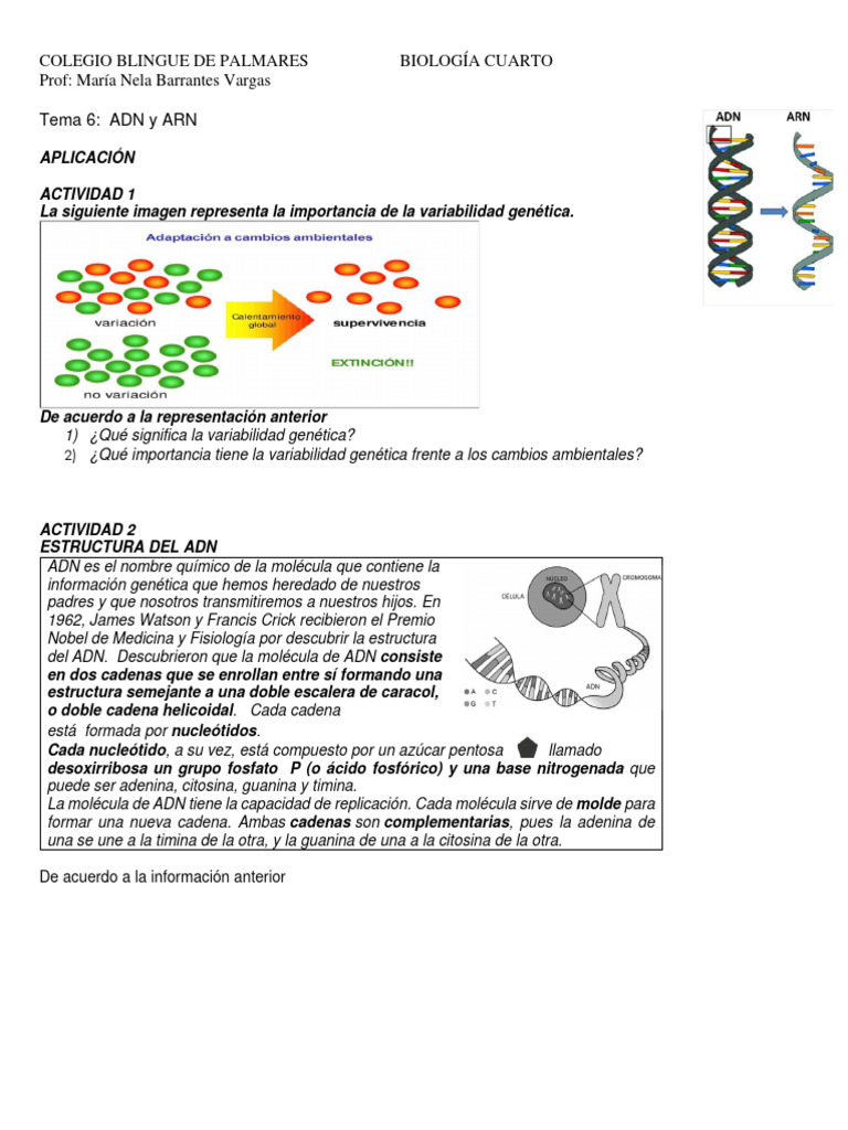 Folleto ADN y ARN Practica | PDF
