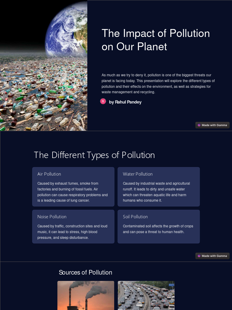 The Impact of Pollution On Our Planet | PDF | Air Pollution | Recycling