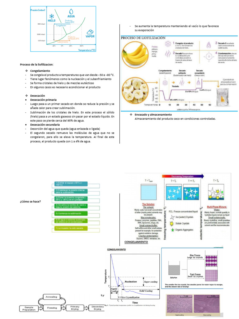 Semana 04 | PDF | Agua | Calor