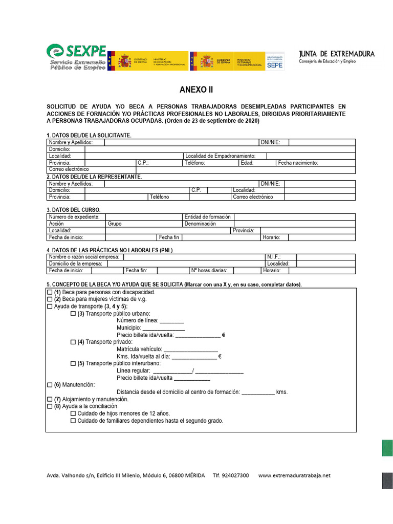 ANEXO VIII Solicitud Becas Ayudas 2023 | PDF