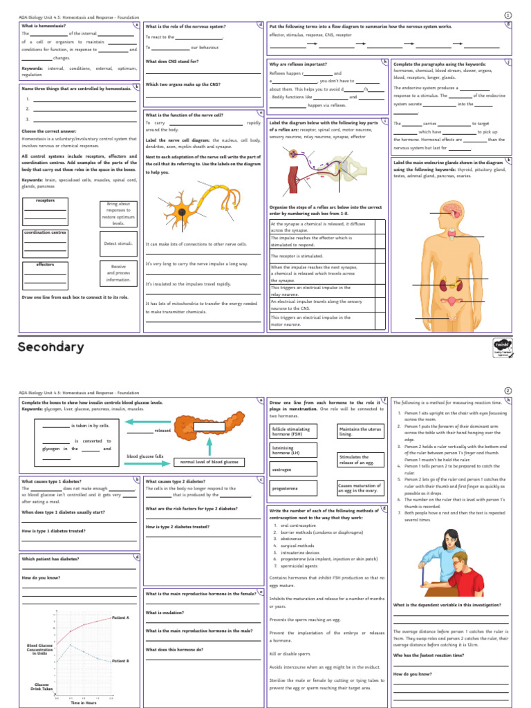 Biology Unit 45 Homeostasis and Response Foundation Revision Activity ...