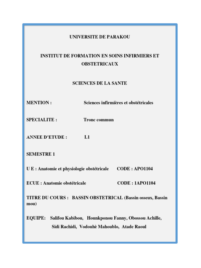 Bassin obstétrical 1 | PDF