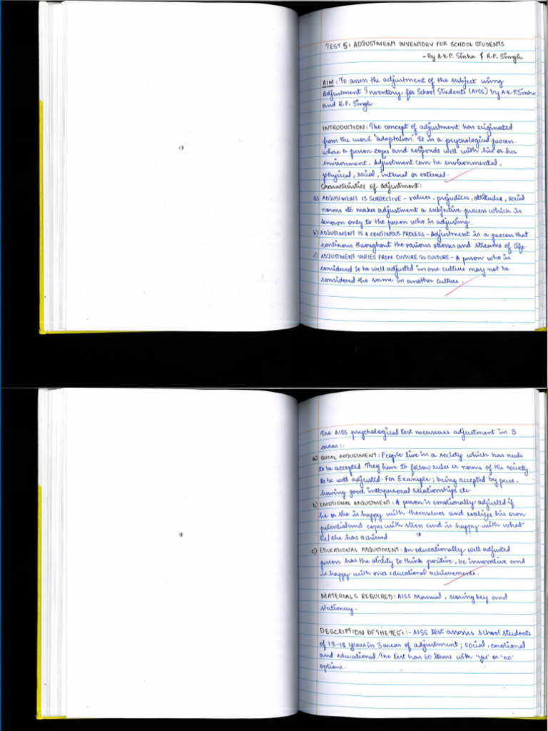 Adjustment Inventory Pdf