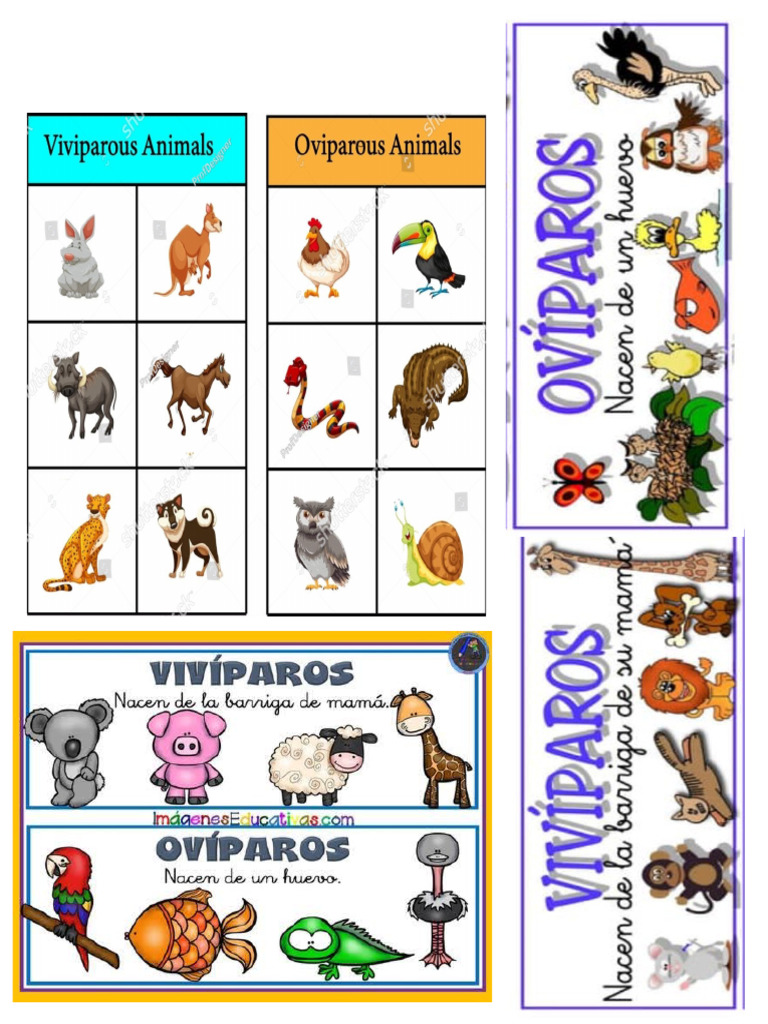 Viviparos y Oviparos | PDF