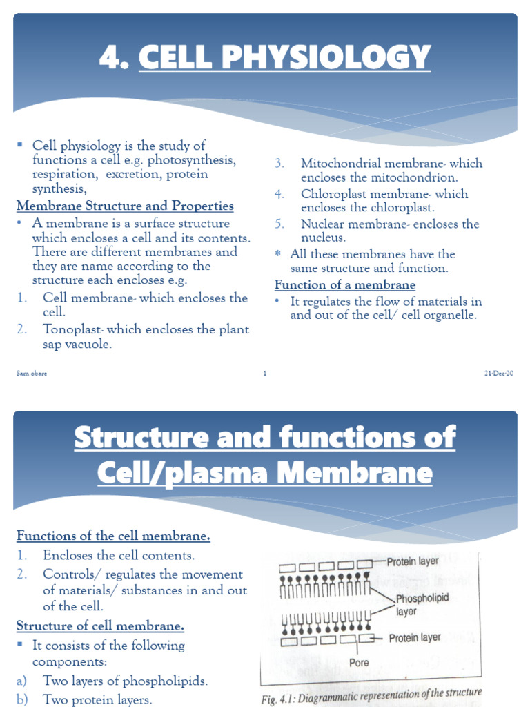 Cell Physiology. | PDF | Osmosis | Cell Membrane