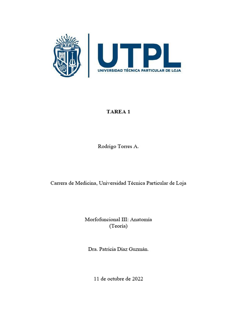 annotated-TAREA 1 | PDF