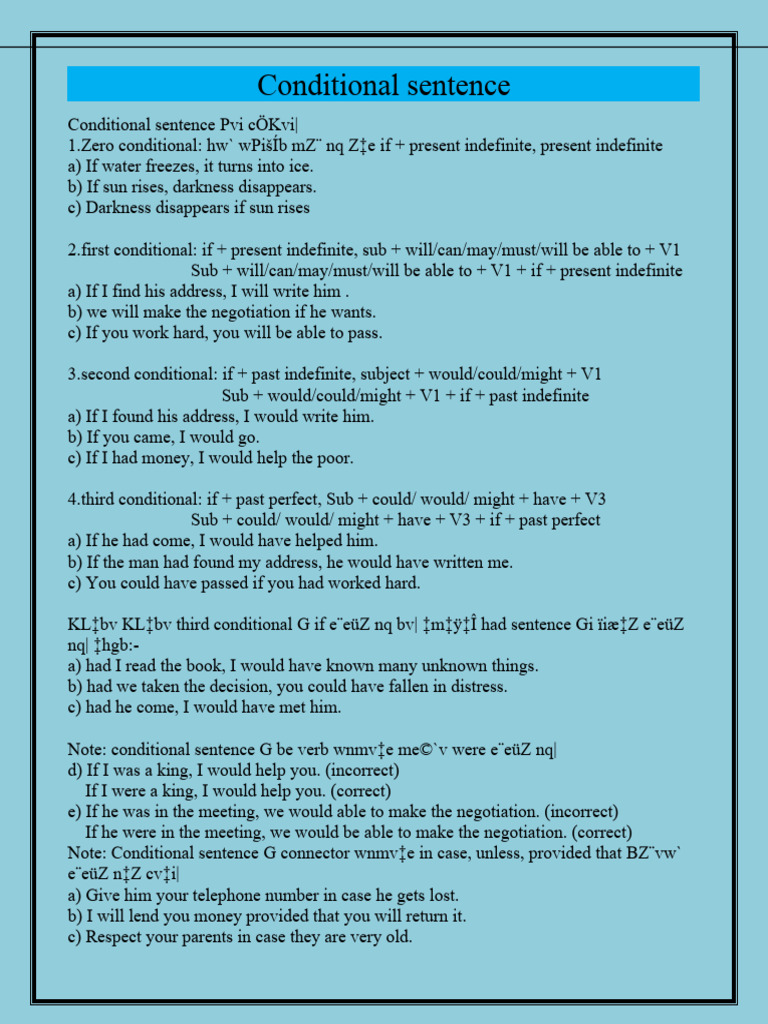 Conditional Sentences | PDF