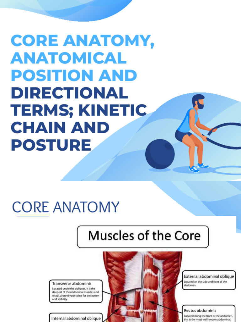 Core Anatomy, Anatomical Position and Directional Terms Kinetic Chain ...