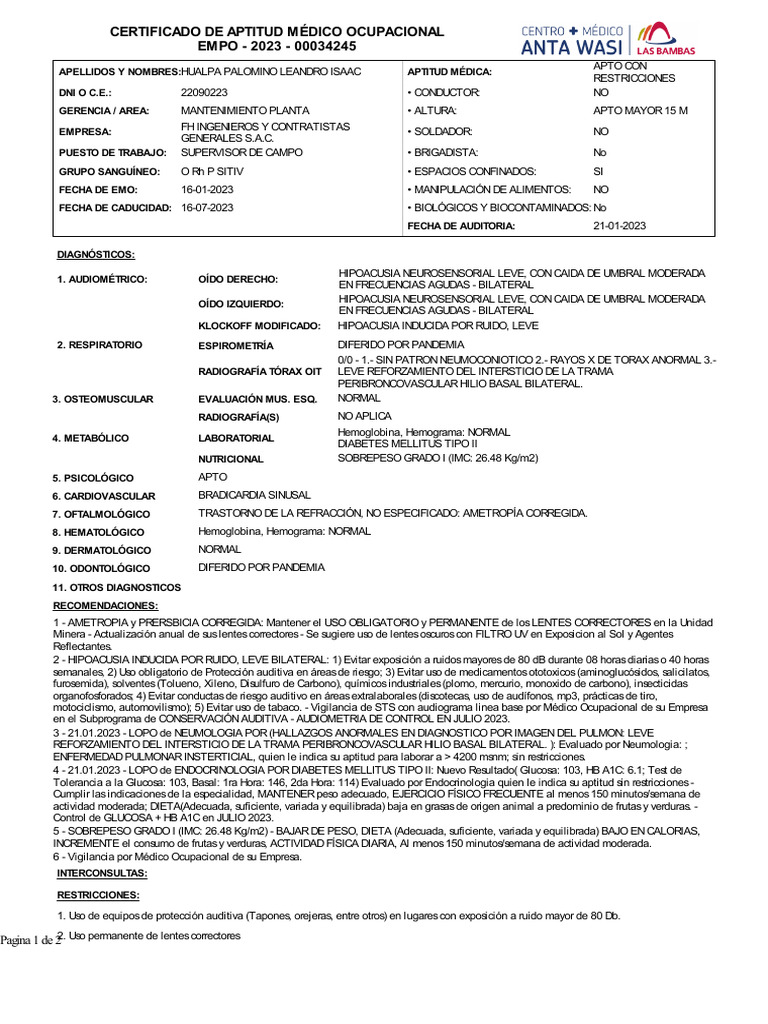 22090223-Hualpa Palomino Leandro Isaac-Fh Ingenieros y Contratistas Generales S.a.c.-Empo-Apto ...