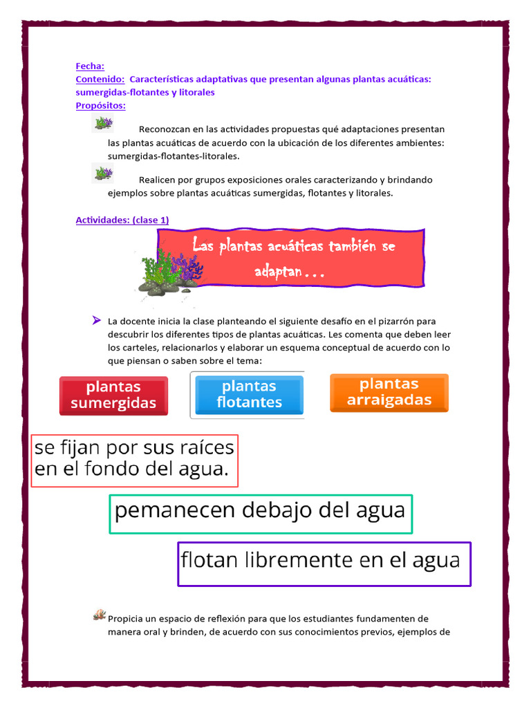 Adaptaciones de las plantas acuáticas | PDF