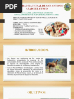 Proyecto Establo Lechero-Holstein | PDF | Vacas | Leche