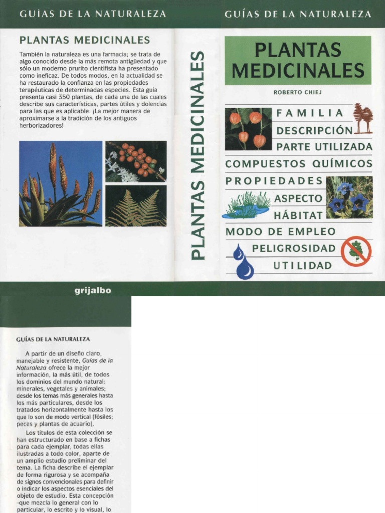 4 Plantas Medicinales Pdf