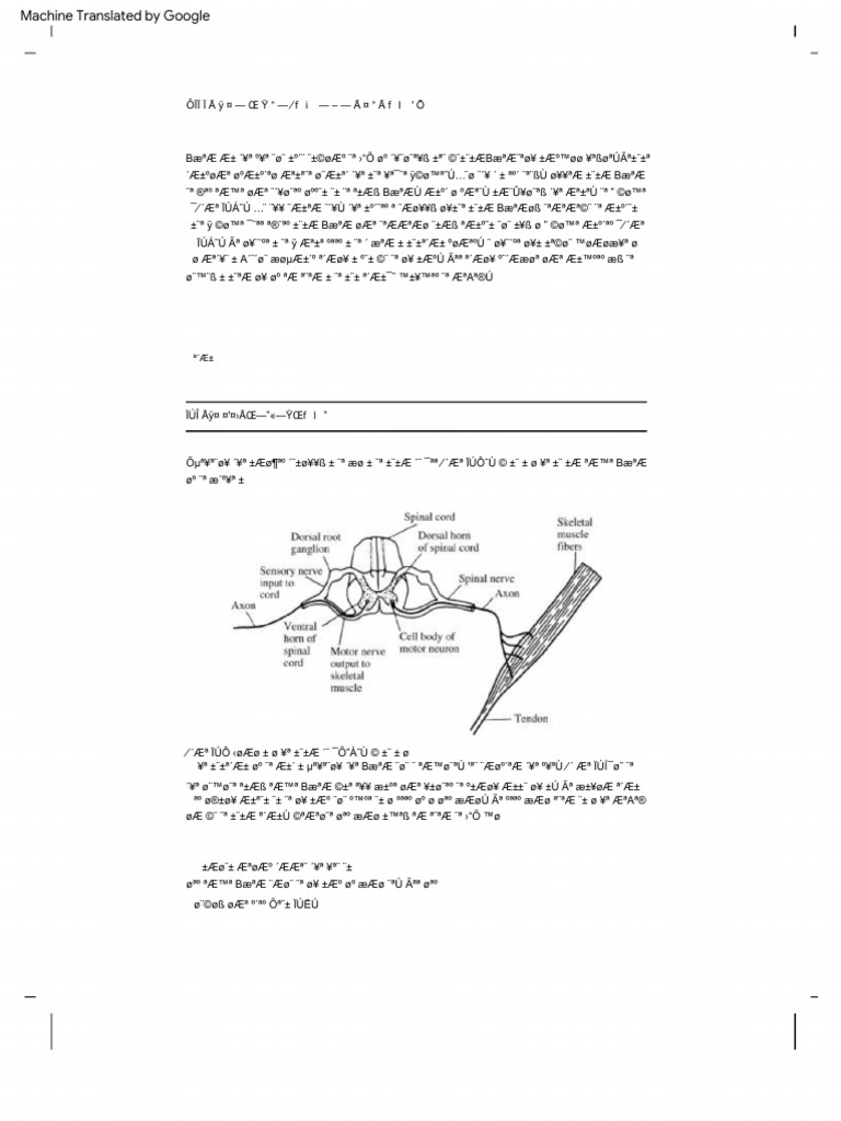 Webster-Medical Instrumentation - Application&Design - 4ed-164-166 | PDF