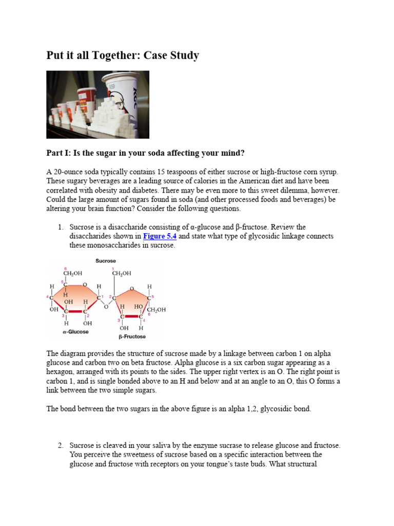 Carbohydrates Structure Function Worksheet | PDF