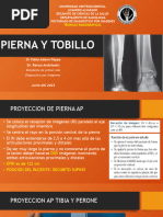 RX de Pie | PDF | Pie | Extremidades (anatomía)