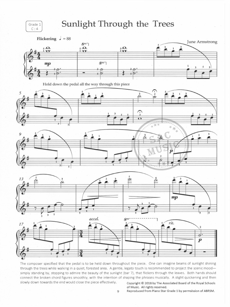 sunlight through the trees | PDF