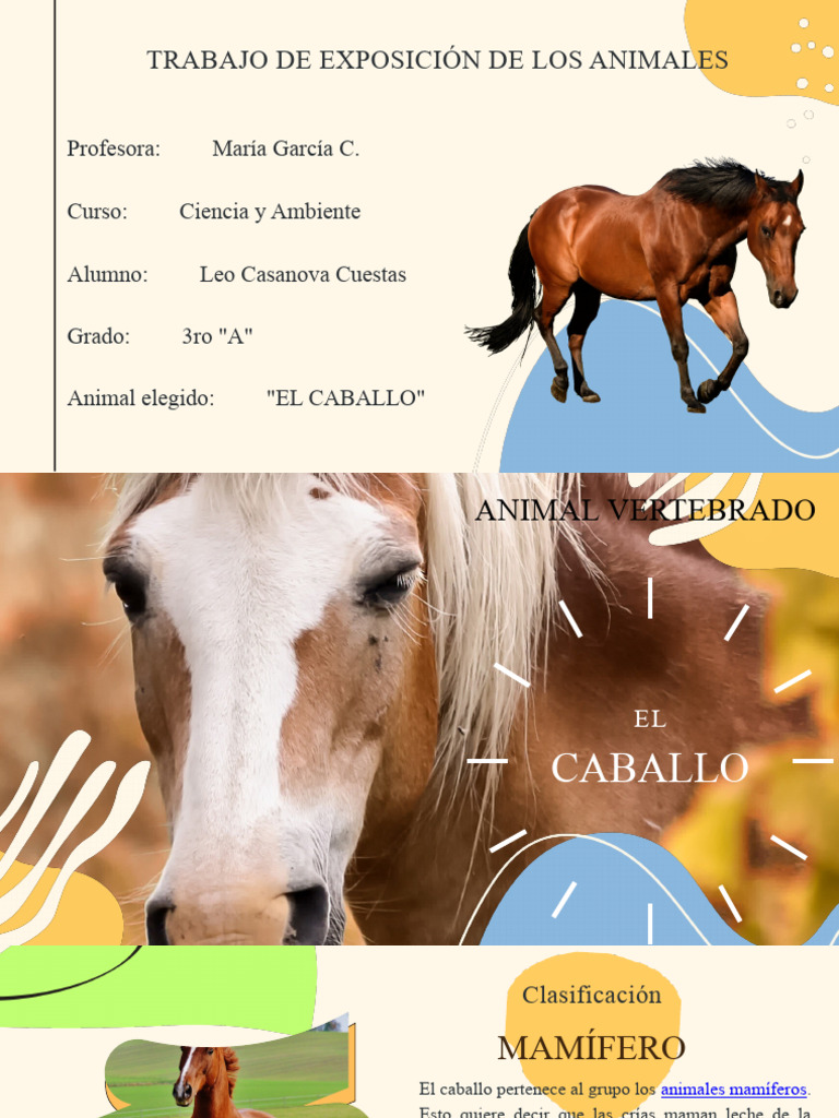 Caballo | PDF