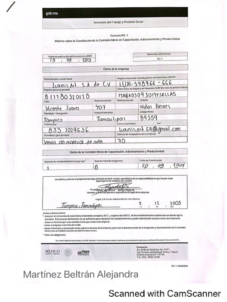 Formatos DC1-5 AMB | PDF
