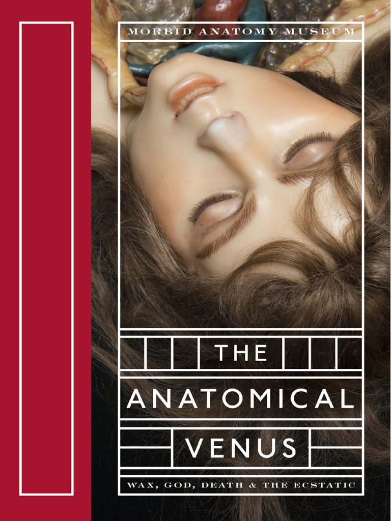 EBENSTEIN, Joanna The Anatomical Venus | PDF | Cadaver