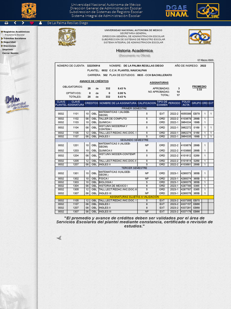 SIAE (Panel de Control) | PDF