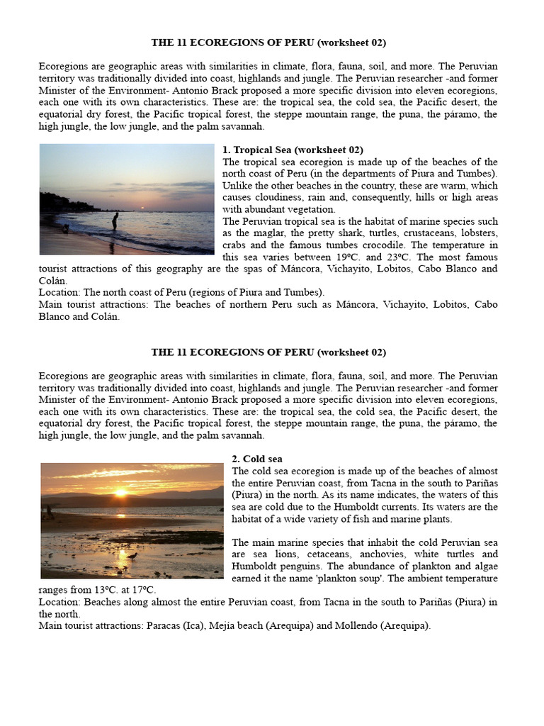 The 11 Ecoregions of Peru - Worksheet 02 | PDF | Andes | Peru