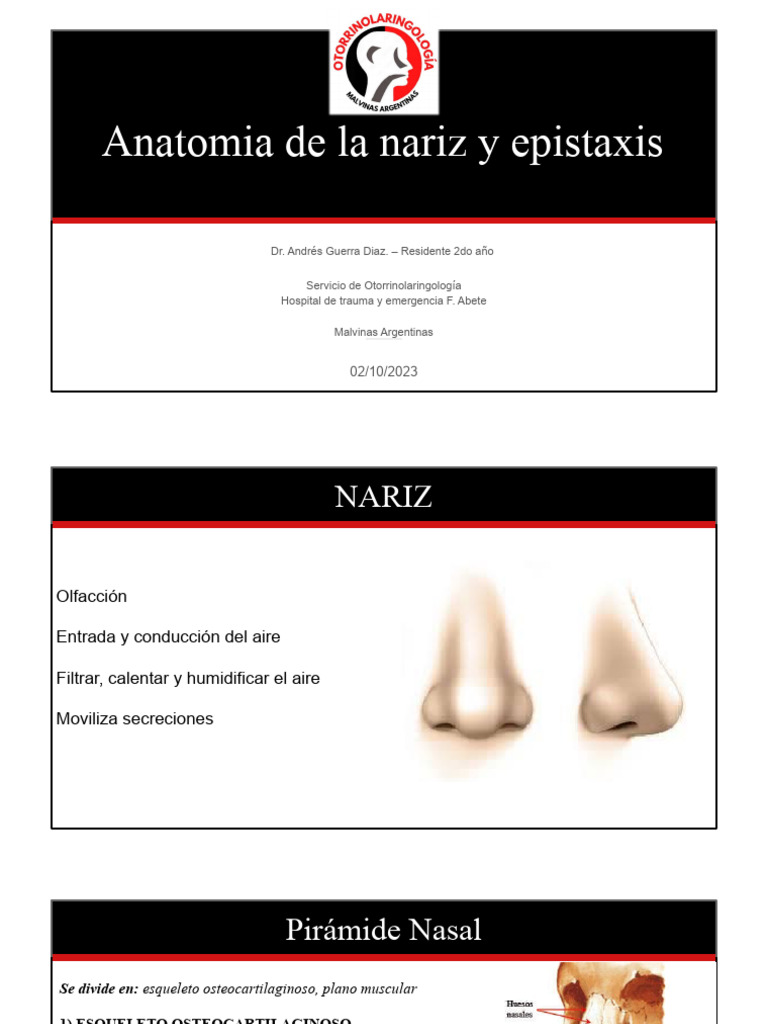 Anatomia de Fosas Nasales | PDF