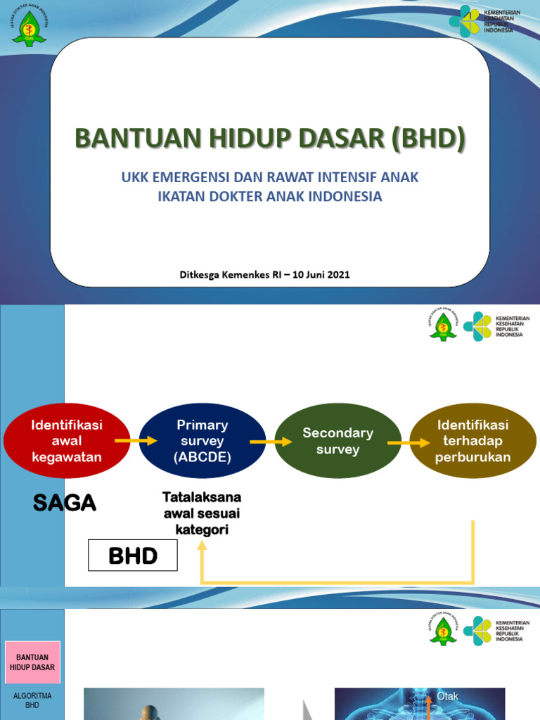 Bantuan Hidup Dasar | PDF