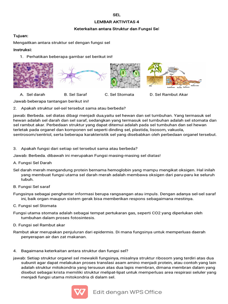 Lembar Aktivitas Sel 4 Kelompok Squad Jawir Kelas XI-4 | PDF