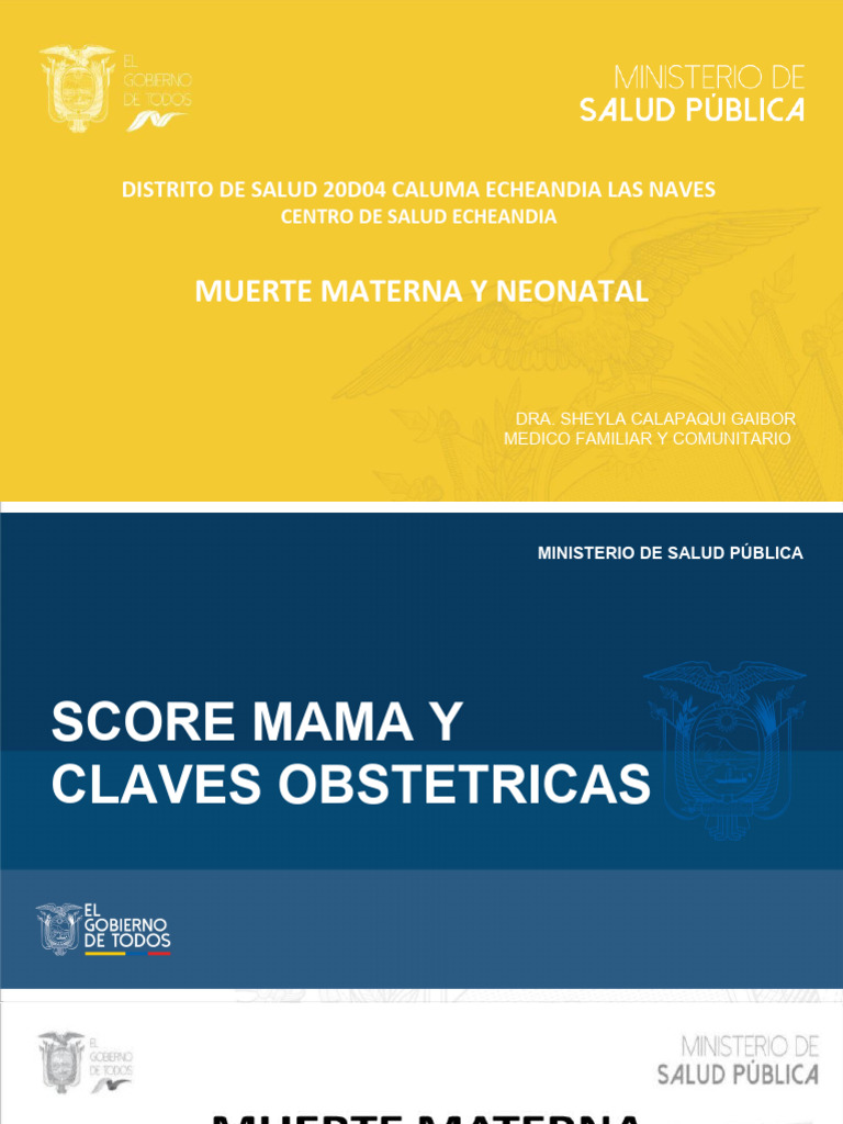 Score Mama y Claves Obstétricas Minsa | PDF