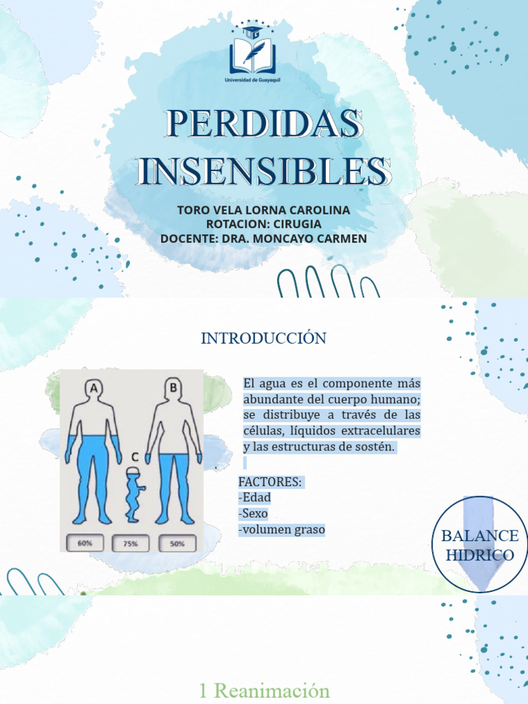 PERDIDAS INSENSIBLES | PDF