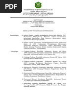 Panduan Triase UGD Puskesmas Karang Dapo | PDF