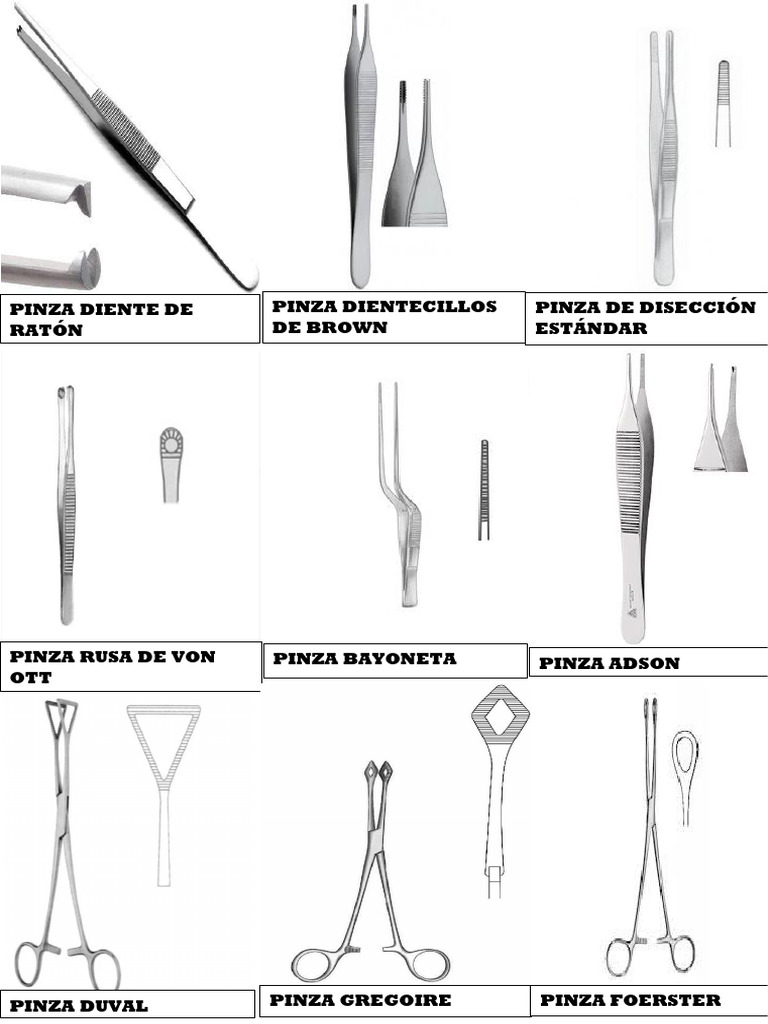 Clasificacion de Finochietto PDF | PDF