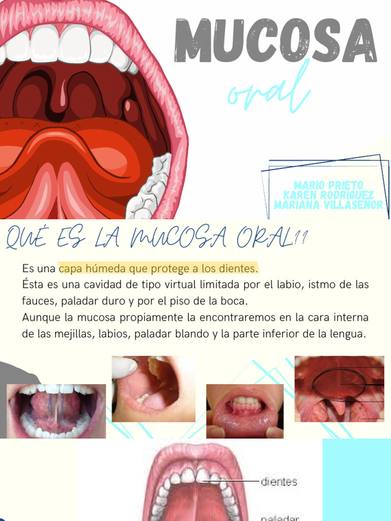 Mucosa Oral | PDF | Epitelio | Membrana mucosa
