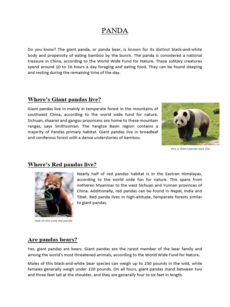 Panda | PDF